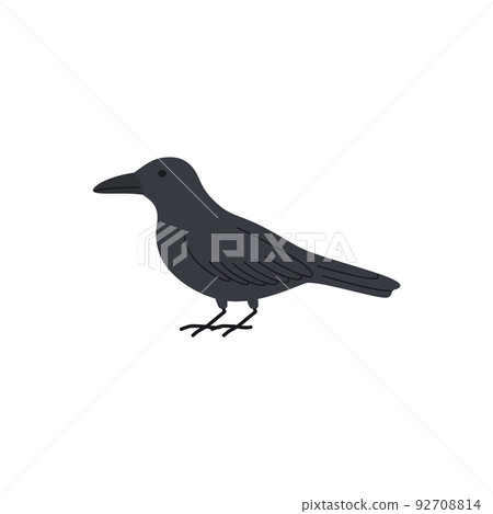Black raven or crow as symbol of bad luck or... - Stock Illustration ...