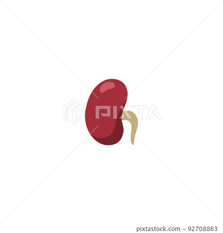 Red kidney bean with sprout, flat vector... - Stock Illustration ...