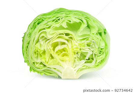Lettuce illustration real cross section - Stock Illustration [92734642 ...