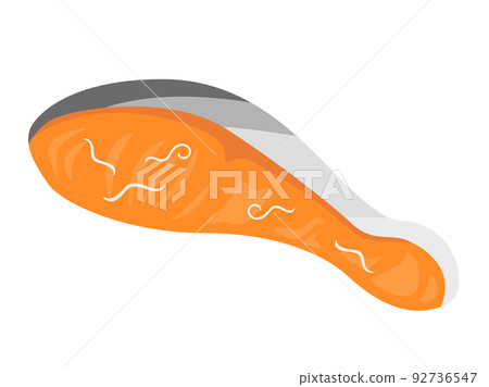 Illustration of Anisakis parasitic on salmon - Stock Illustration ...