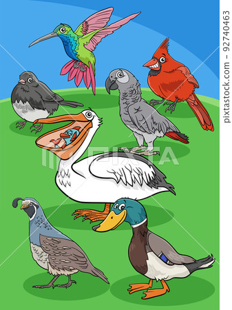 cartoon birds animal characters group - Stock Illustration [92740463 ...