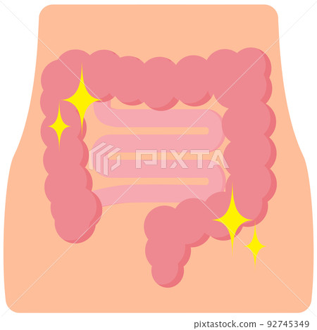 small intestine large intestine - Stock Illustration [92745349] - PIXTA