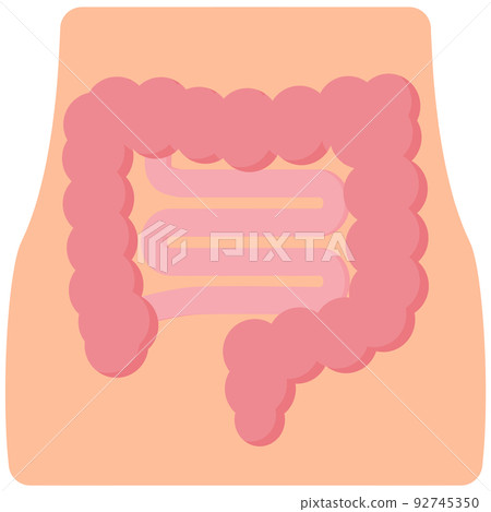 small intestine large intestine - Stock Illustration [92745350] - PIXTA