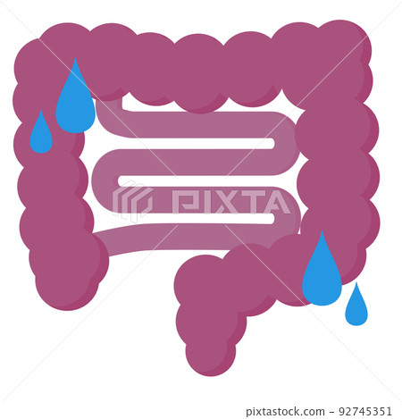 small intestine large intestine - Stock Illustration [92745351] - PIXTA