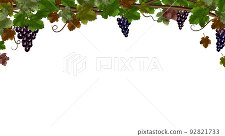 Grape frame - Stock Illustration [92821733] - PIXTA