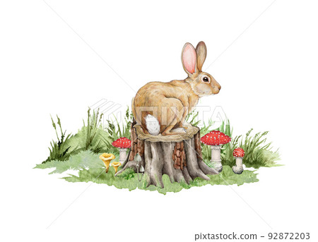 Bunny on the tree stump. Hand drawn... - Stock Illustration [92872203 ...
