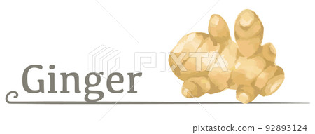 Ginger label material using watercolor... - Stock Illustration ...