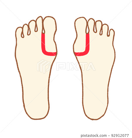 A simple diagram of the foot thyroid gland - Stock Illustration ...
