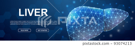 Liver polygonal horizontal banner. Hepatitis... - Stock Illustration ...