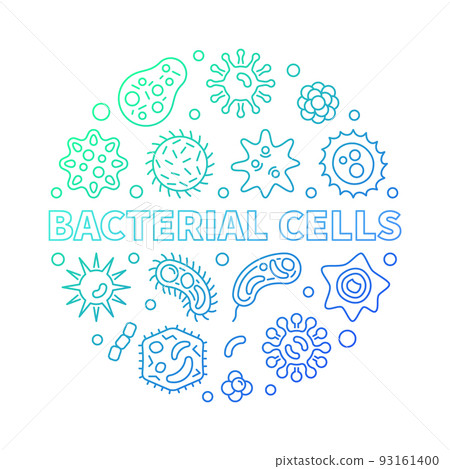 Bacterial cells round vector colorful outline... - Stock Illustration ...