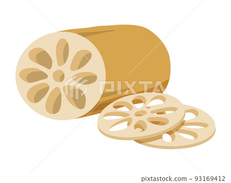 Lotus root - Stock Illustration [93169412] - PIXTA