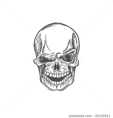 Grinning Skull