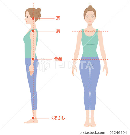 Woman with correct posture, whole body - Stock Illustration [93246394 ...