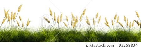 Isolated green grass on a white background. 3d... - Stock Illustration ...