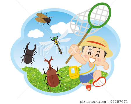 Summer vacation boy collecting insects - Stock Illustration [93267671 ...