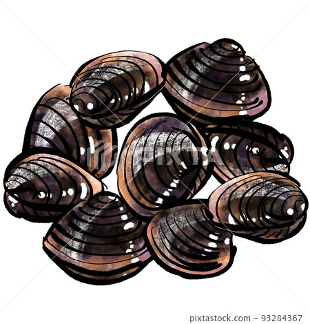Hand-drawn illustration of "Clam" (brush... - Stock Illustration ...