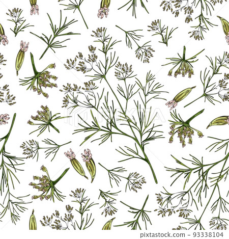 Hand drawn seamless pattern with cumin plants... - Stock Illustration ...