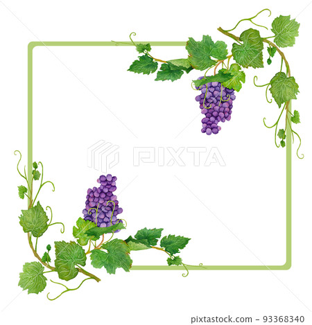 rectangular frame with grapes - Stock Illustration [93368340] - PIXTA