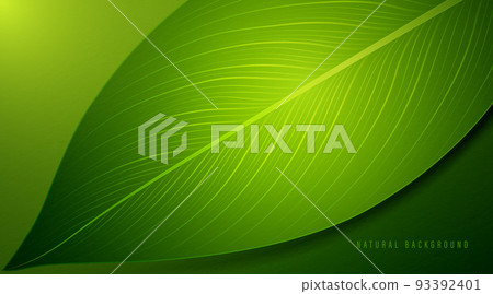 Abstract green leaf texture. Nature background.... - Stock Illustration ...