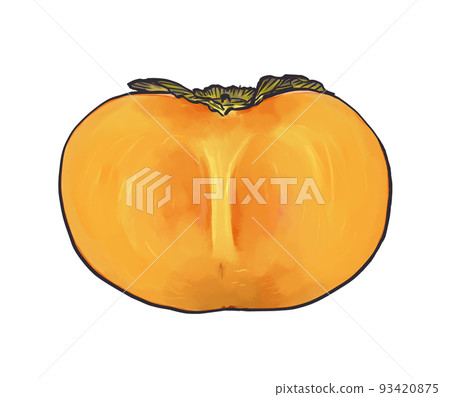 Pen drawing style persimmon cross section - Stock Illustration ...