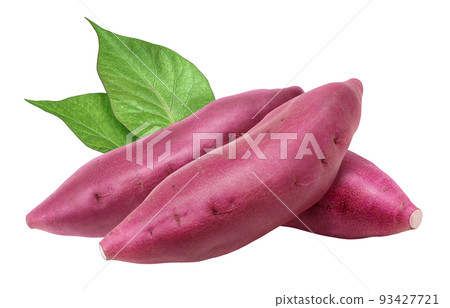 Sweet potato sweet potato illustration real set - Stock Illustration ...