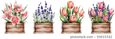 Set of spring flowers in wooden boxes. Lily,... - Stock Illustration ...