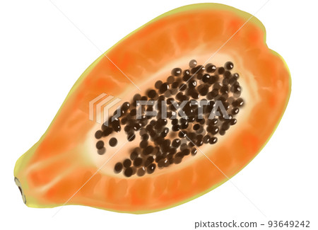 Illustration of handwritten papaya (cut) - Stock Illustration [93649242 ...