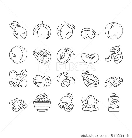 plum fruit green red prune icons set vector - Stock Illustration ...