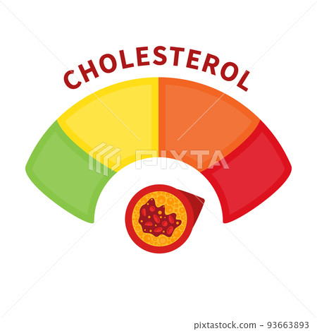 Cholesterol level meter gauge with blood vessel... - Stock Illustration ...