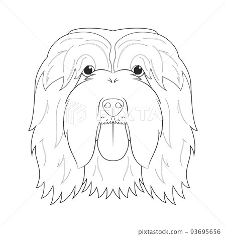Bearded Collie dog easy coloring cartoon vector...-插圖素材 [93695656 ...