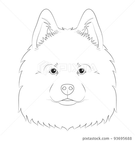 Samoyed dog easy coloring cartoon vector... - Stock Illustration ...