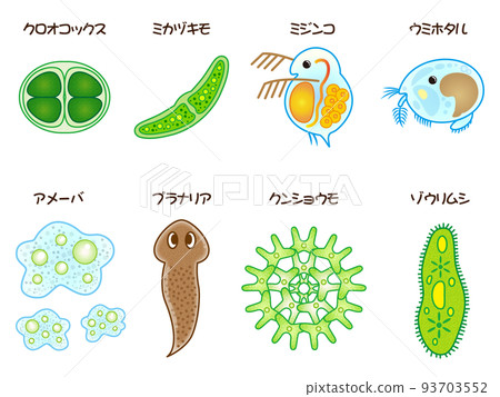 Simple plankton illustration material - Stock Illustration [93703552 ...