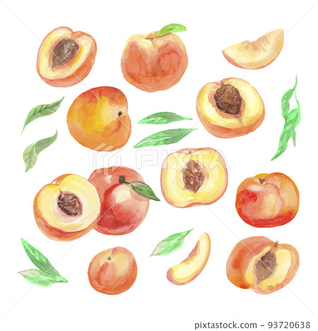 Watercolor peach set. - Stock Illustration [93720638] - PIXTA