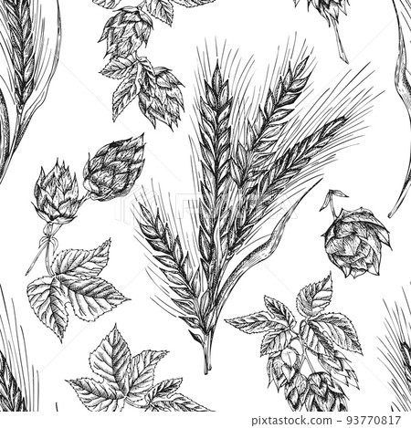 Seamless pattern botany hand drawn sketch Ears... - Stock Illustration ...
