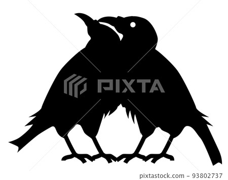 Two friendly crows - Stock Illustration [93802737] - PIXTA