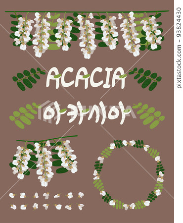 [Vector] Acacia picture and calligraphy set - Stock Illustration ...