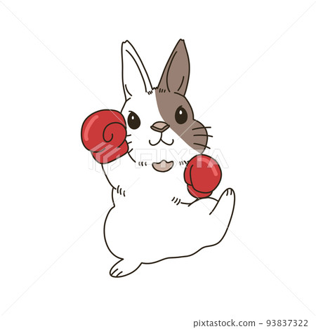 boxer rabbit - Stock Illustration [93837322] - PIXTA