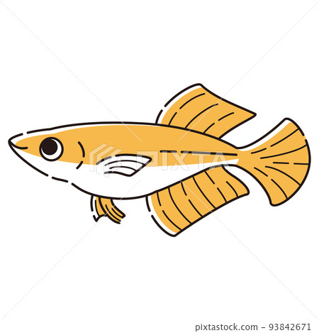 Illustration of a simple Hikari Medaka - Stock Illustration [93842671 ...