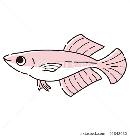 Illustration of a simple Hikari Medaka - Stock Illustration [93842680 ...