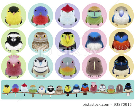 Fluffy bird series D with background - Stock Illustration [93870915 ...