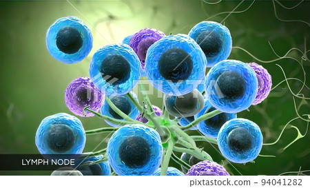 lymph nodes located in many parts of the body - Stock Illustration ...