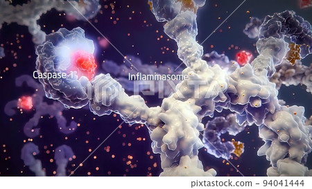 Antibodies destroy an infected cell by a virus,... - Stock Illustration ...