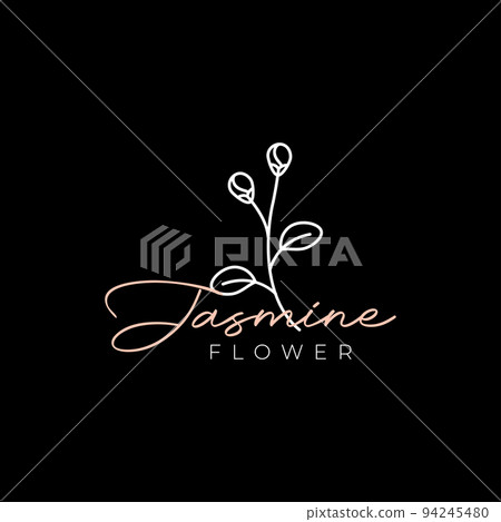 feminine flowers lines jasmine logo design-插圖素材 [94245480] - PIXTA圖庫