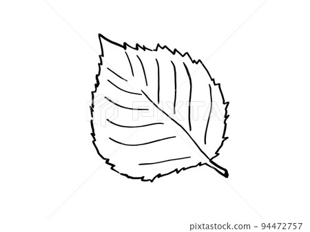 Line drawing illustration food Shiso leaves - Stock Illustration ...