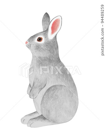 Gray rabbit colored pencil drawing - Stock Illustration [94489259] - PIXTA