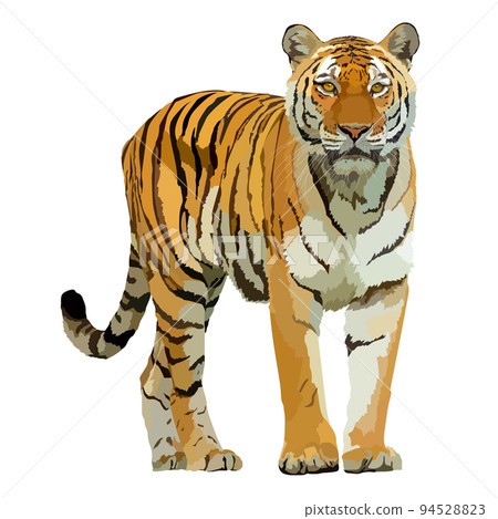 Tiger realistic icon vector illustration wild... - Stock Illustration ...