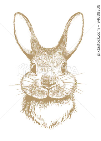 A rabbit facing the front, postcard size - Stock Illustration [94688839 ...