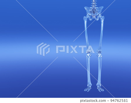 Human skeleton bone skeleton CG human body - Stock Illustration ...