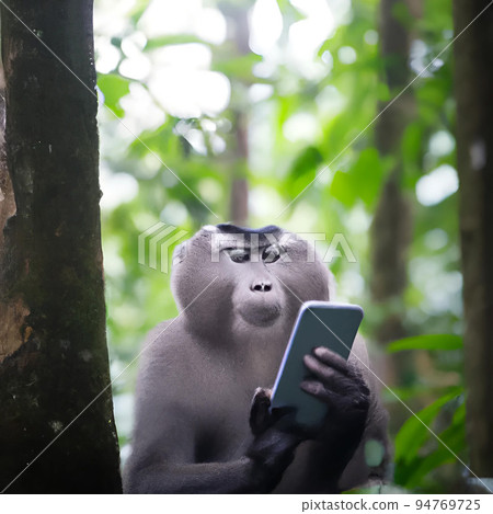ape using mobile cellular phone in the jungle - Stock Illustration ...
