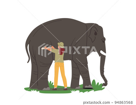 Zoologist Female Character Cleaning Elephant... - Stock Illustration ...
